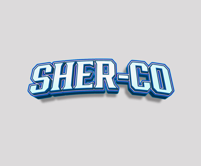 Portfolio Demo Content -3 – Sher-Co